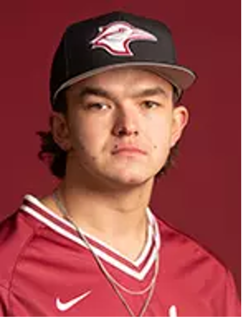 Rogue Baseball Performance