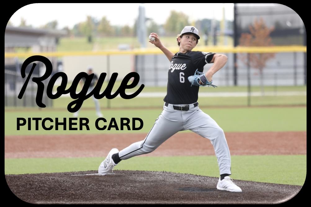 Rogue Baseball Performance