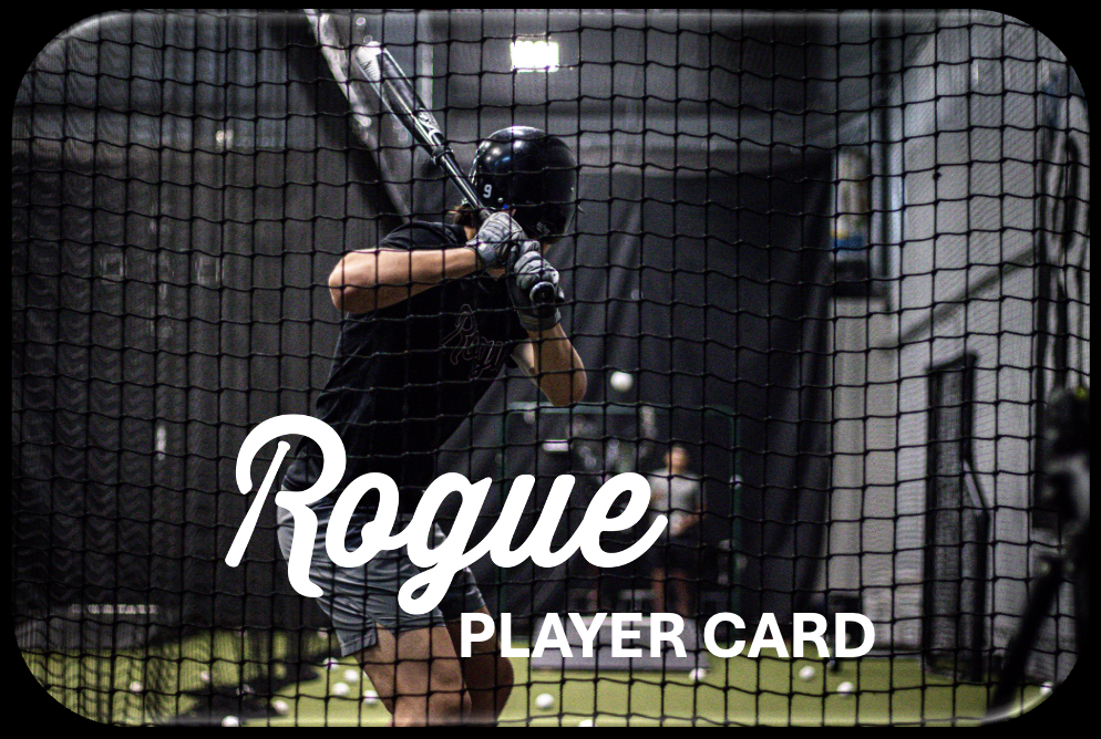 Rogue Baseball Performance